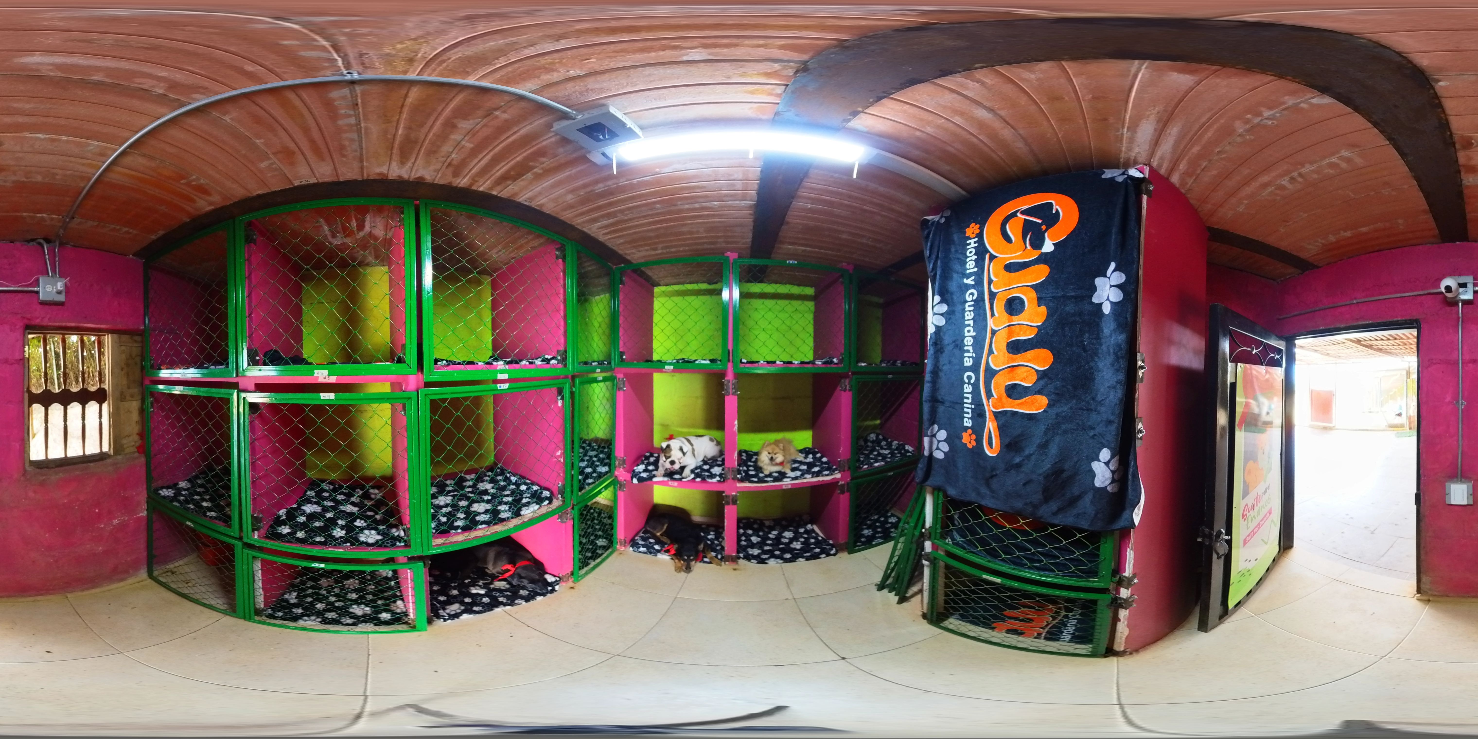 Guauu paraiso canino
