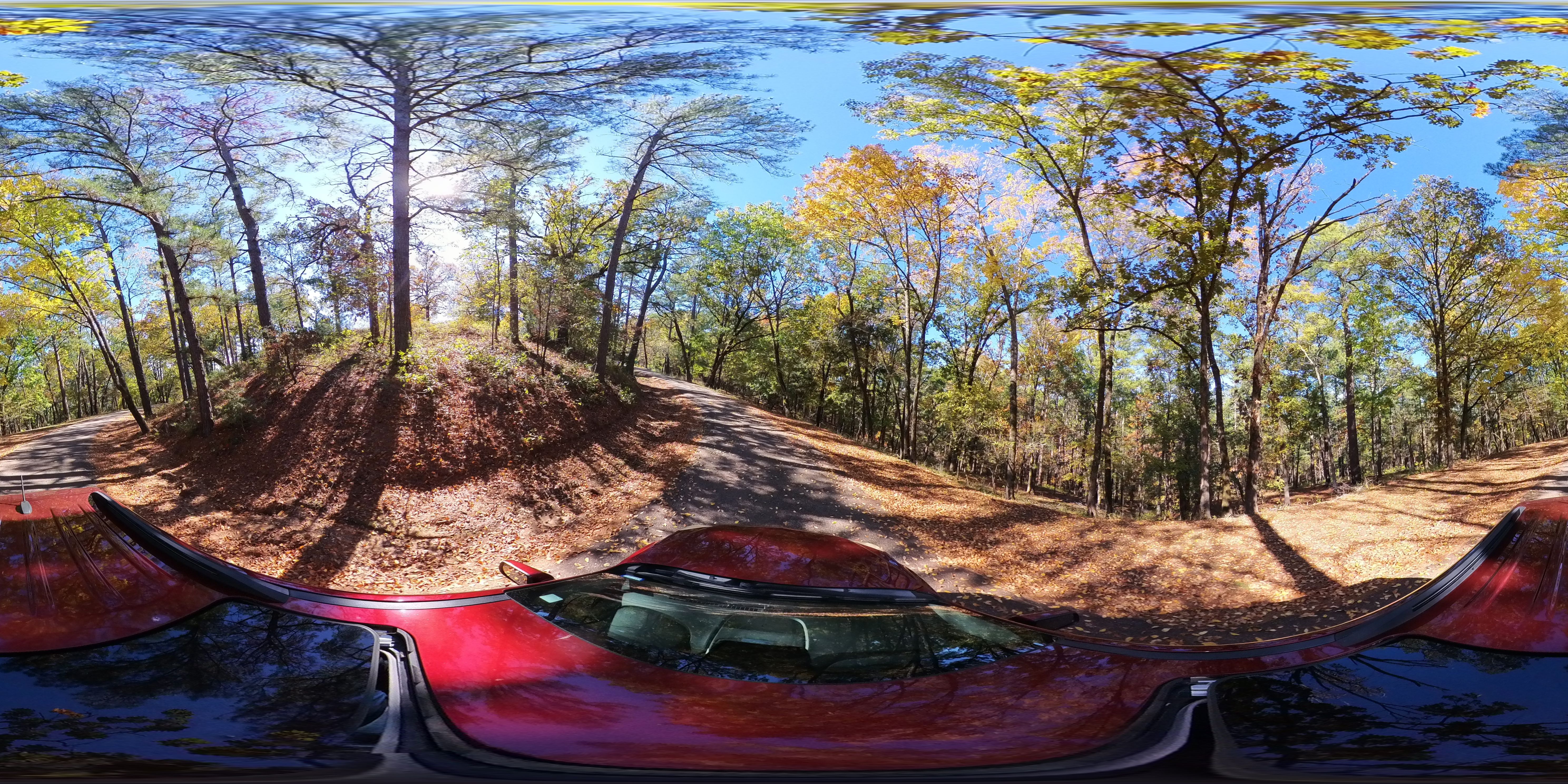 Davey Dogwood Park (Autumn)