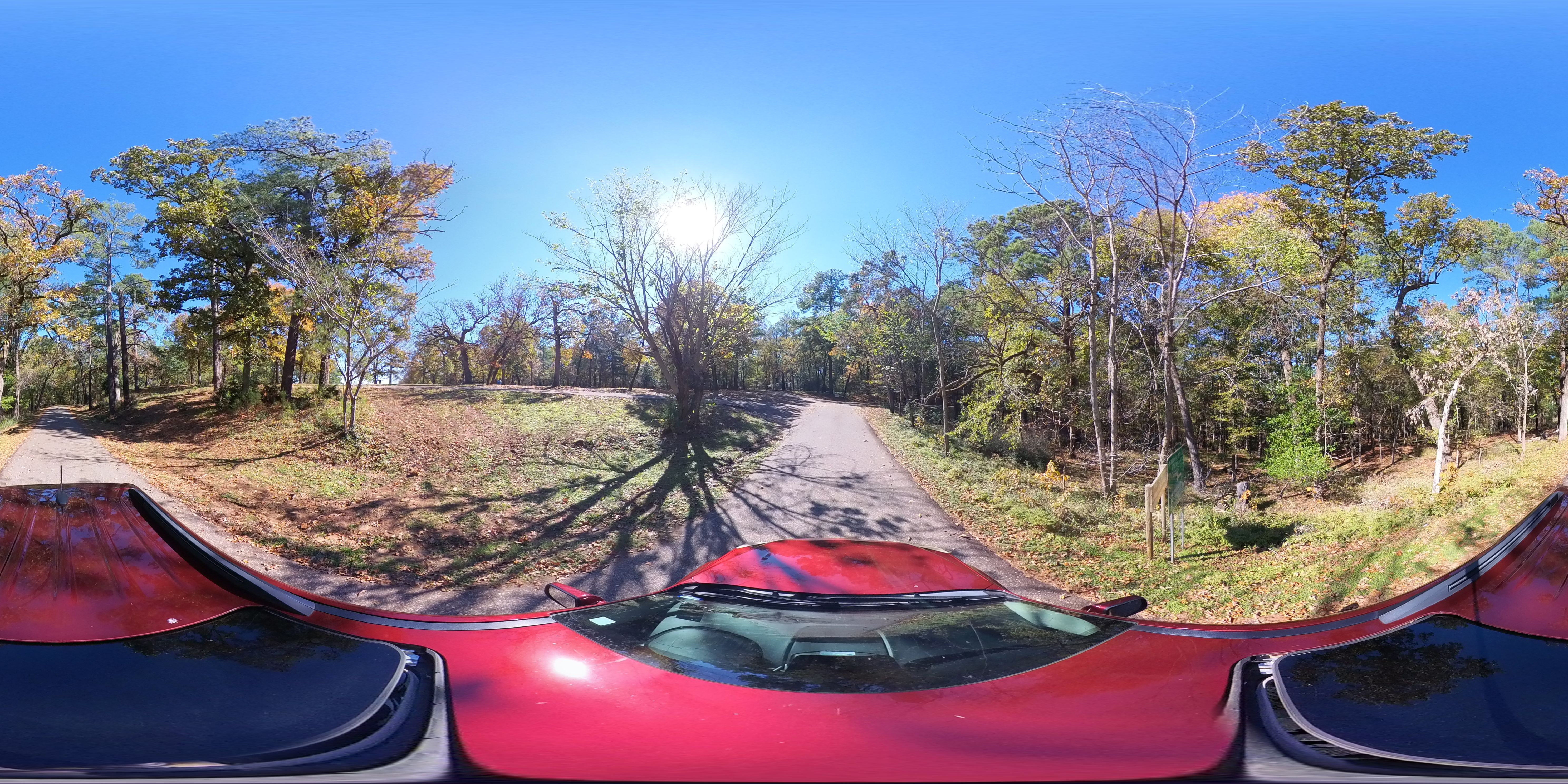 Davey Dogwood Park (Autumn)