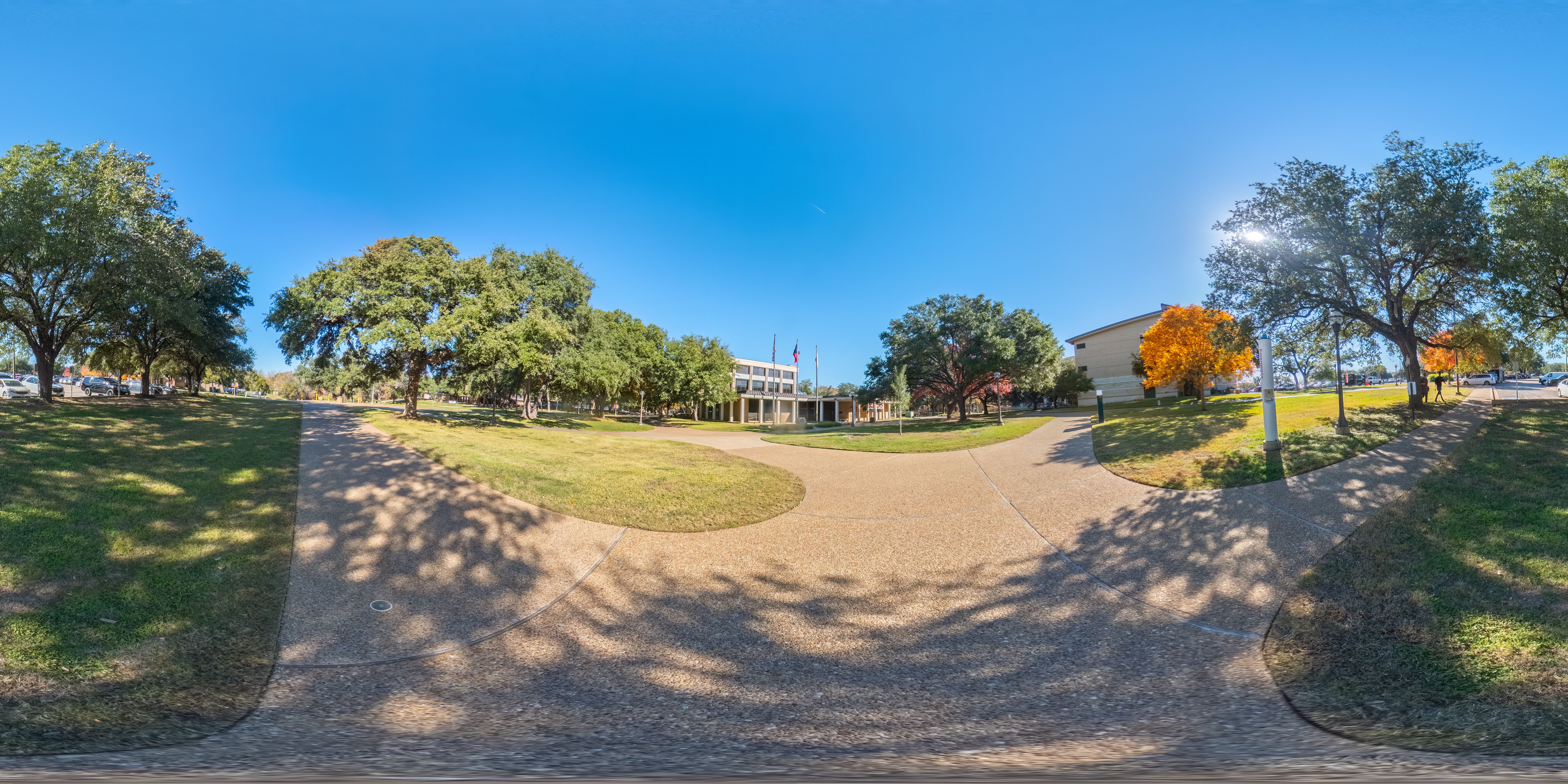 McLennan Community College Collection